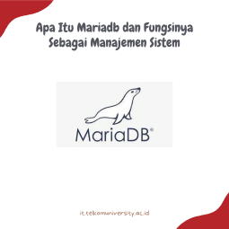 Apa Itu Mariadb dan Fungsinya Sebagai Manajemen Sistem