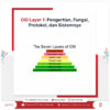 OSI Layer 2: Fungsi, Protokol, dan Teknologi yang Digunakan
