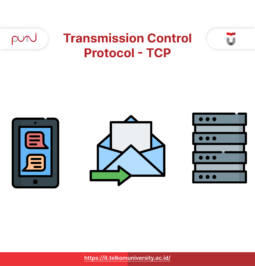 TCP/IP: Definition, Function, Advantages & Disadvantages
