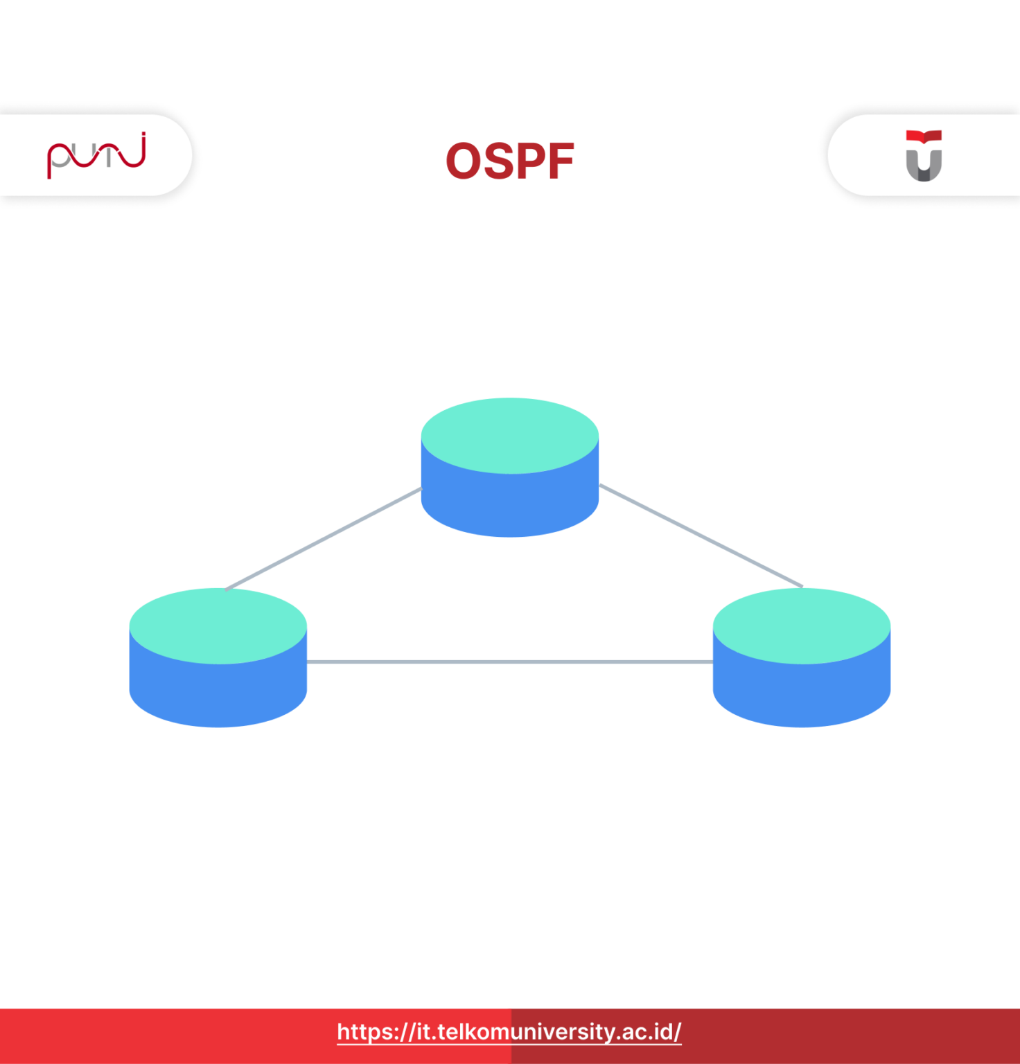 OSPF: Pengetian, Fungsi, Cara Kerja, Jenis dan Kelebihannya