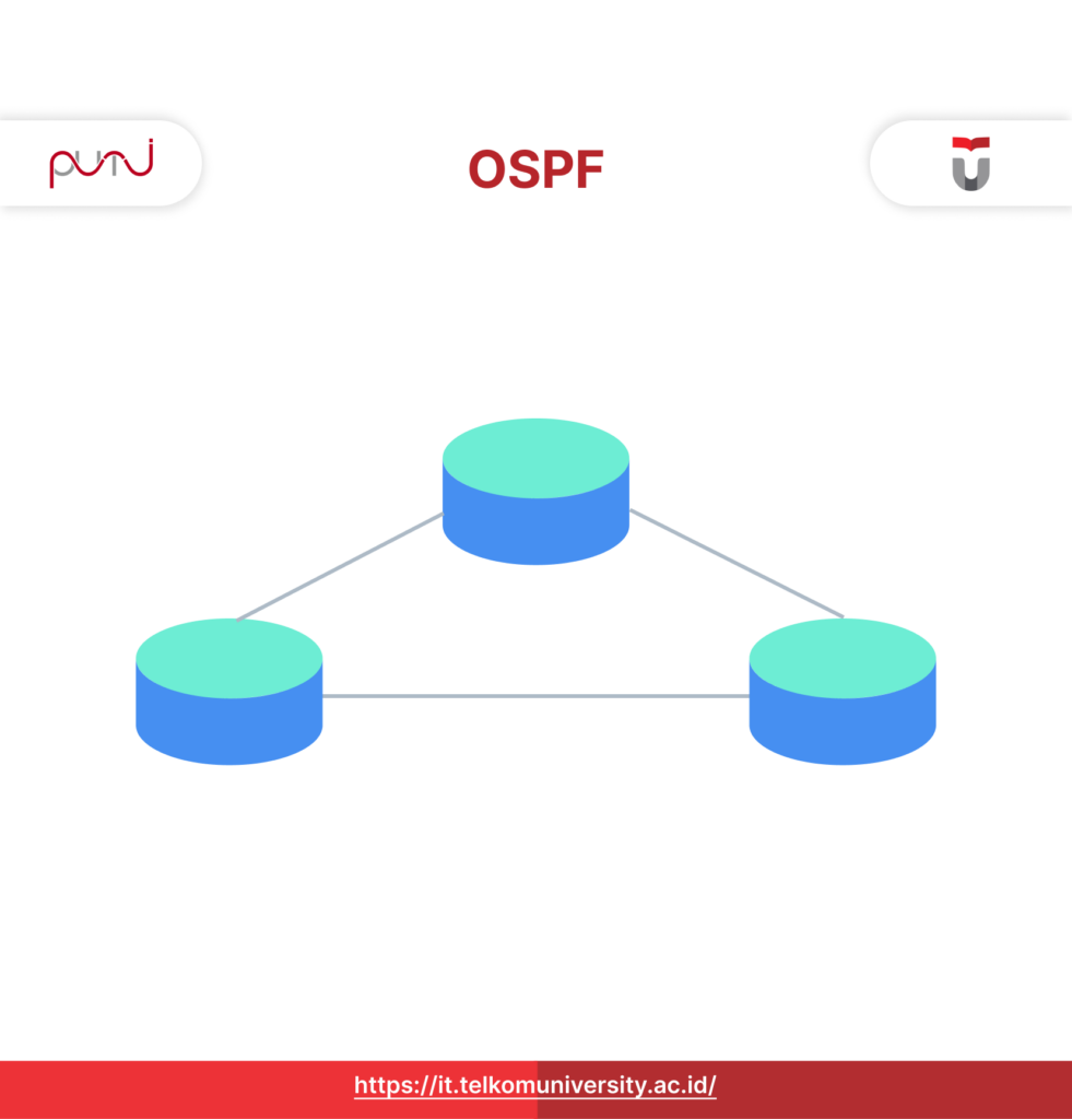 OSPF: Pengetian, Fungsi, Cara Kerja, Jenis dan Kelebihannya