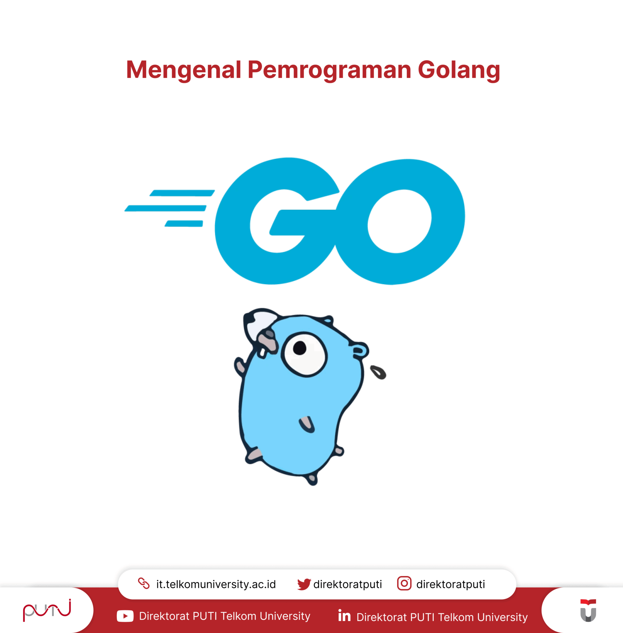 Mengenal Pemrograman Golang: Konsep, Sintaks, dan Praktiknya ...